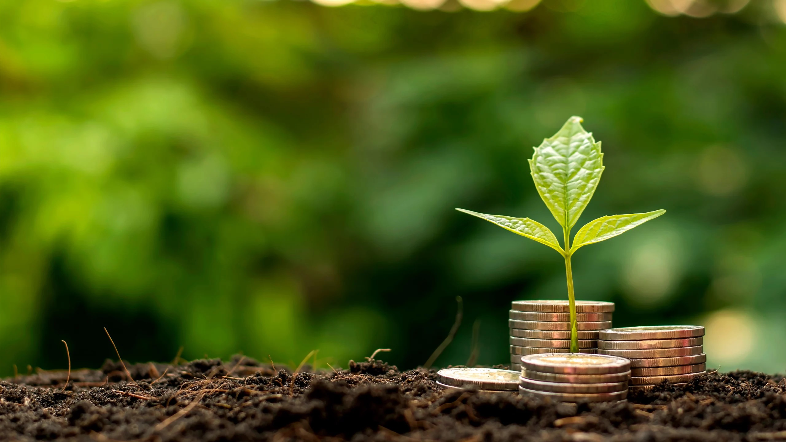 Creatives unite | The Green Assist is the Commission's initiative for ...